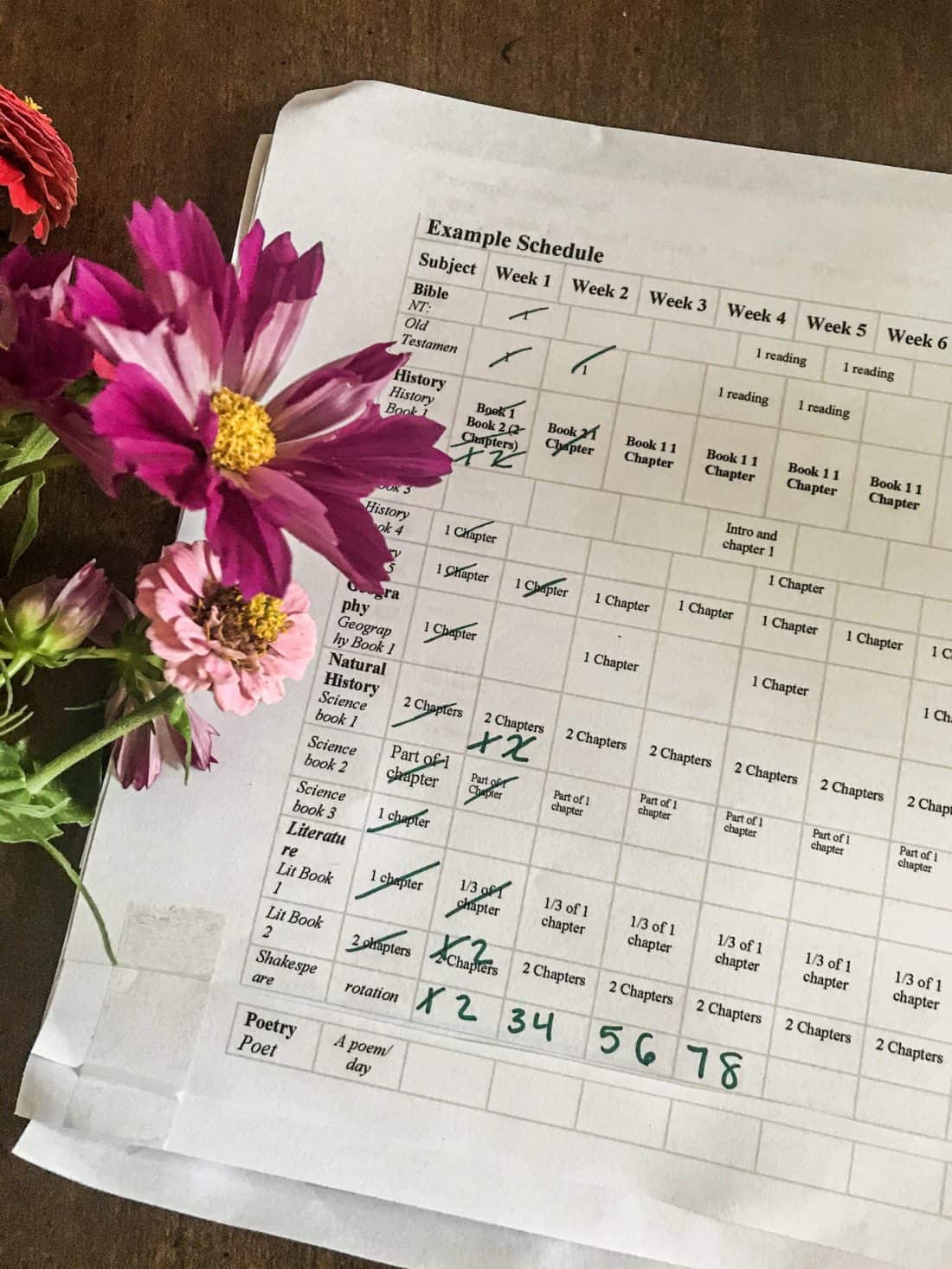 How to Schedule Ambleside Online: How to Make it Work | Joanna Overly